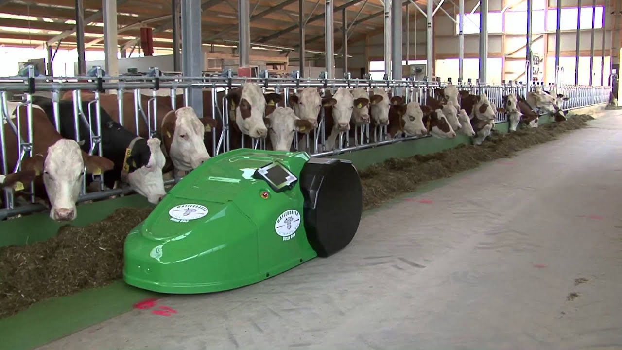 Futteranschieber Butler Gold neu-revolutionär-einzigartig - YouTube