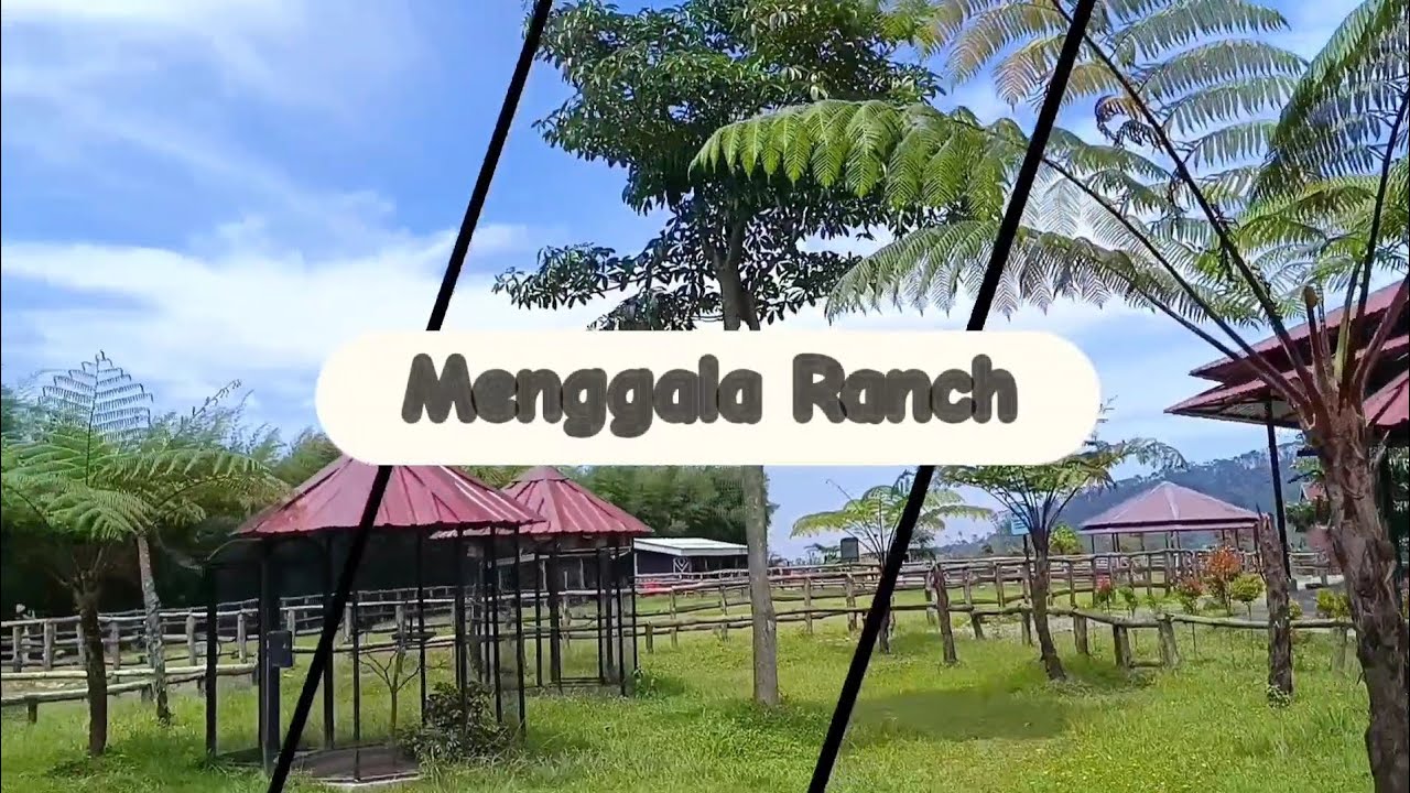 MANGGALA RANCH | Kelompok 2 | XI TJKT 3 - YouTube