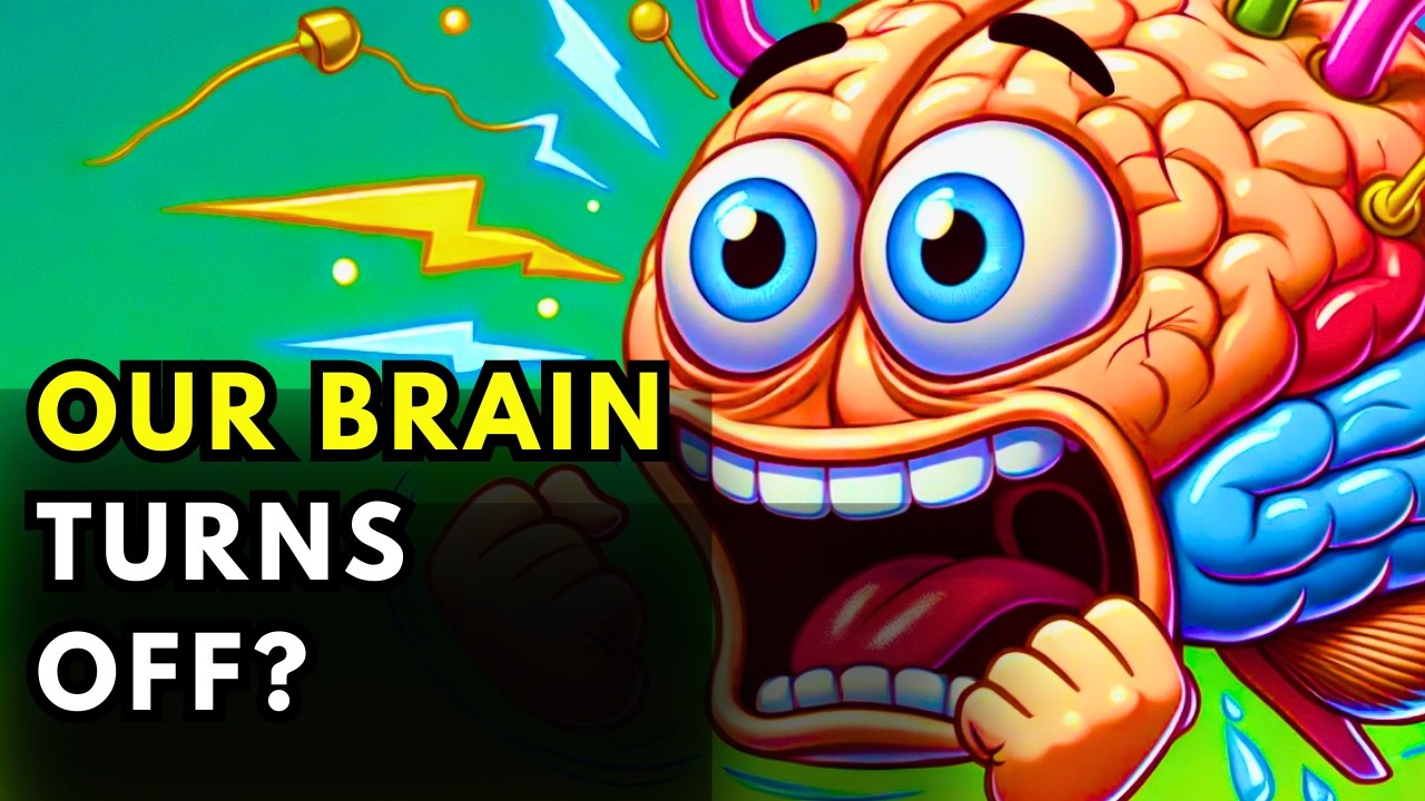 Do You Know What Happens When Our Brain Turns Off? - YouTube