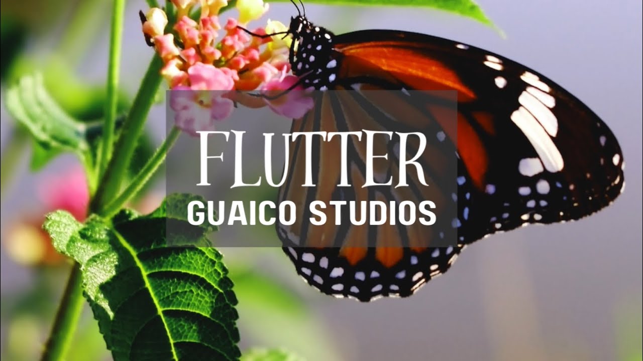 “Flutter” by Guaico studios - YouTube