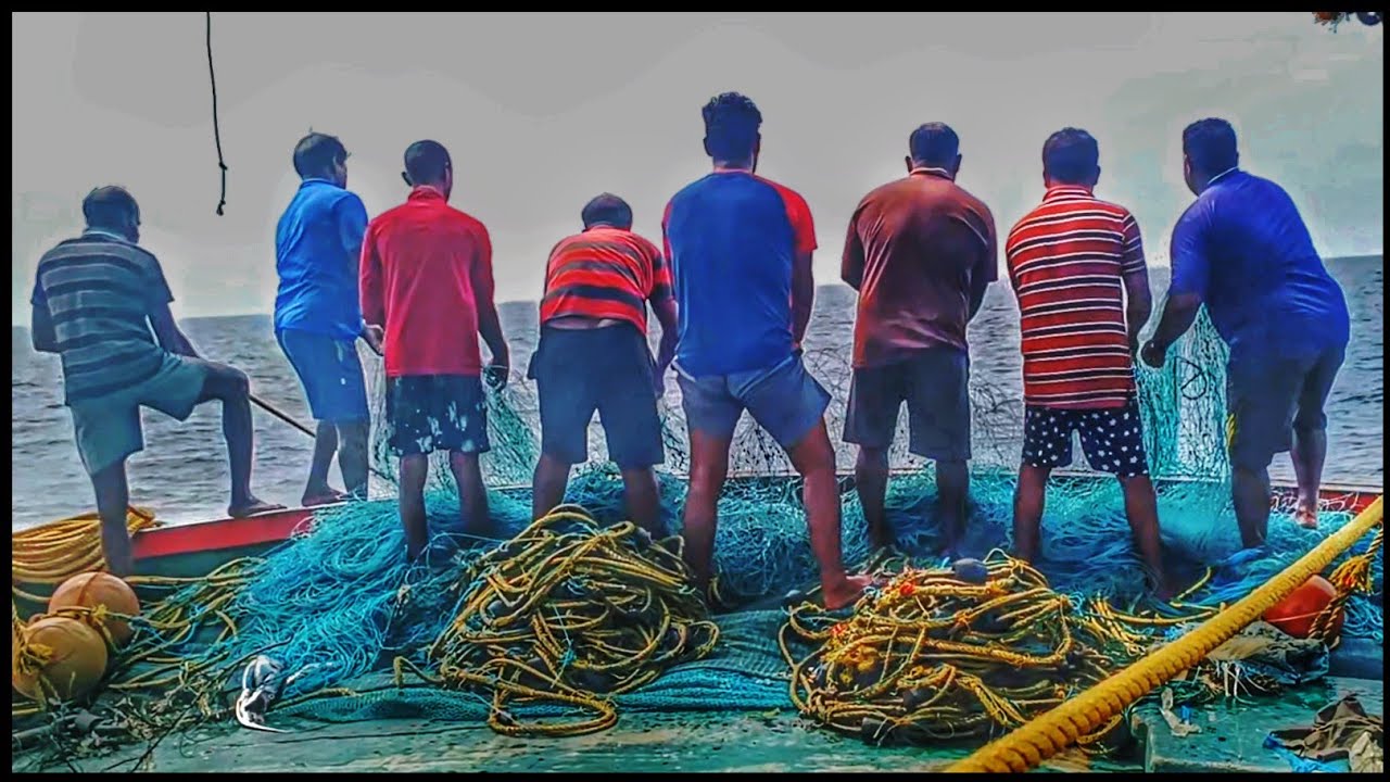 Wow Fantastic trawlernet fishing 8th day caught lot's of Red Disco fish ...