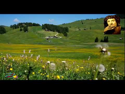 حسن زیرک صبری