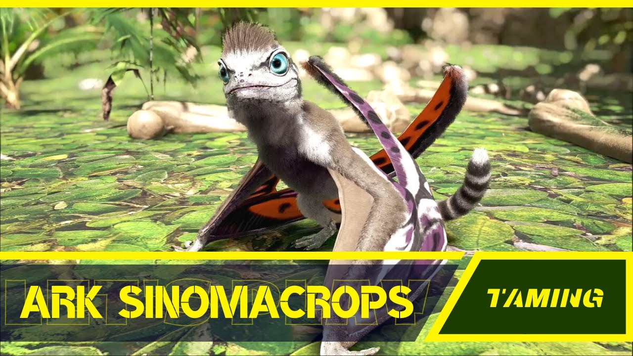 Sinomacrops Taming [ M+F ] LvL 150 | ARK - YouTube