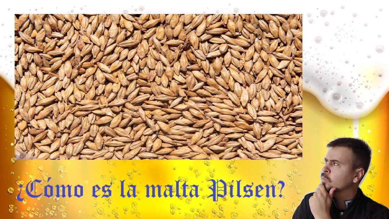 Cómo es la malta Pilsen - YouTube