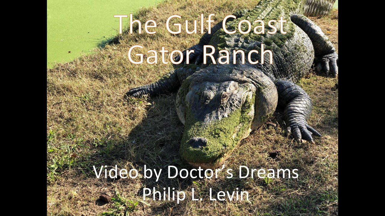 The Gulf Coast Gator Ranch - YouTube