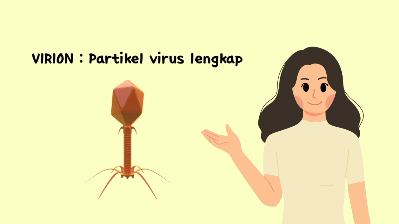 24 Media - Dian Aulia - YouTube