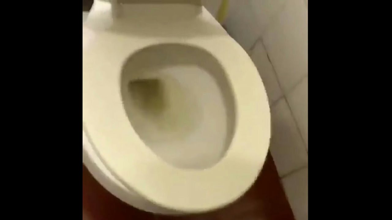 Rat vanishes in toilet(Super mario meme) - YouTube