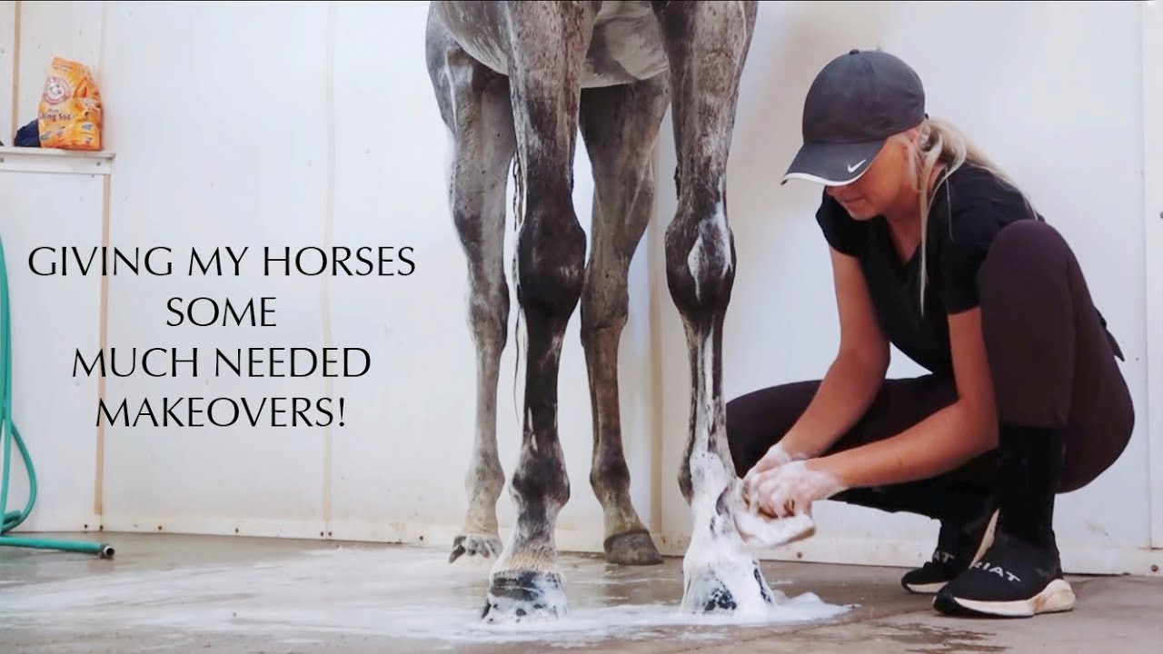 MY HORSES GET MAKEOVERS (SATISFYING) - YouTube