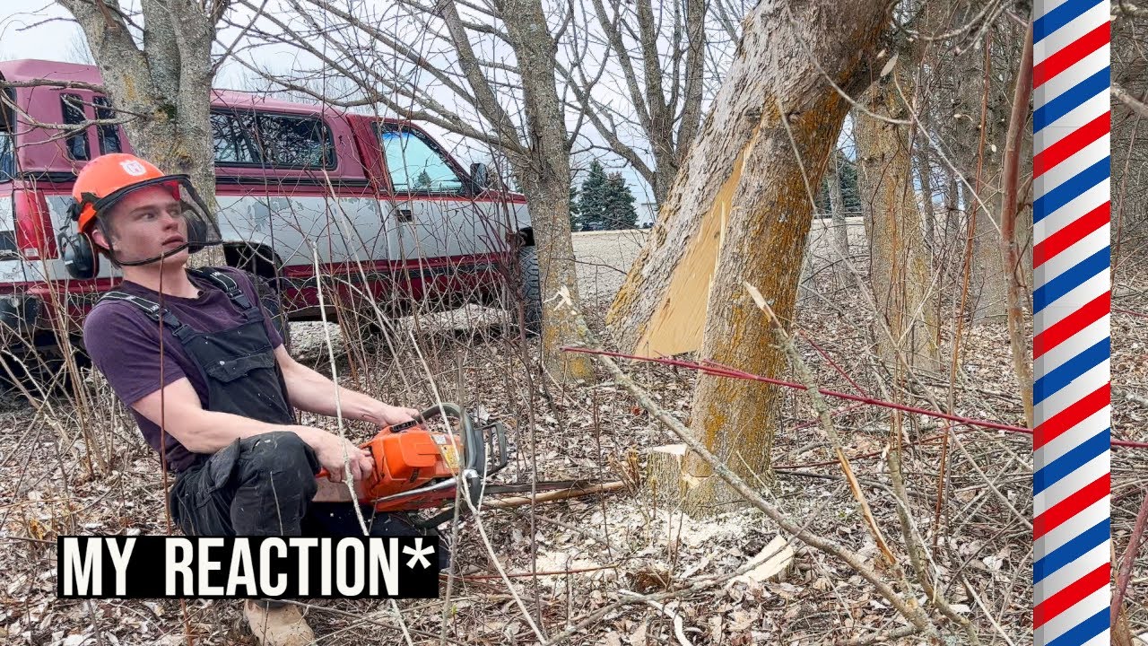 Ash Barber Chairs | Tree Farm Firewood - YouTube