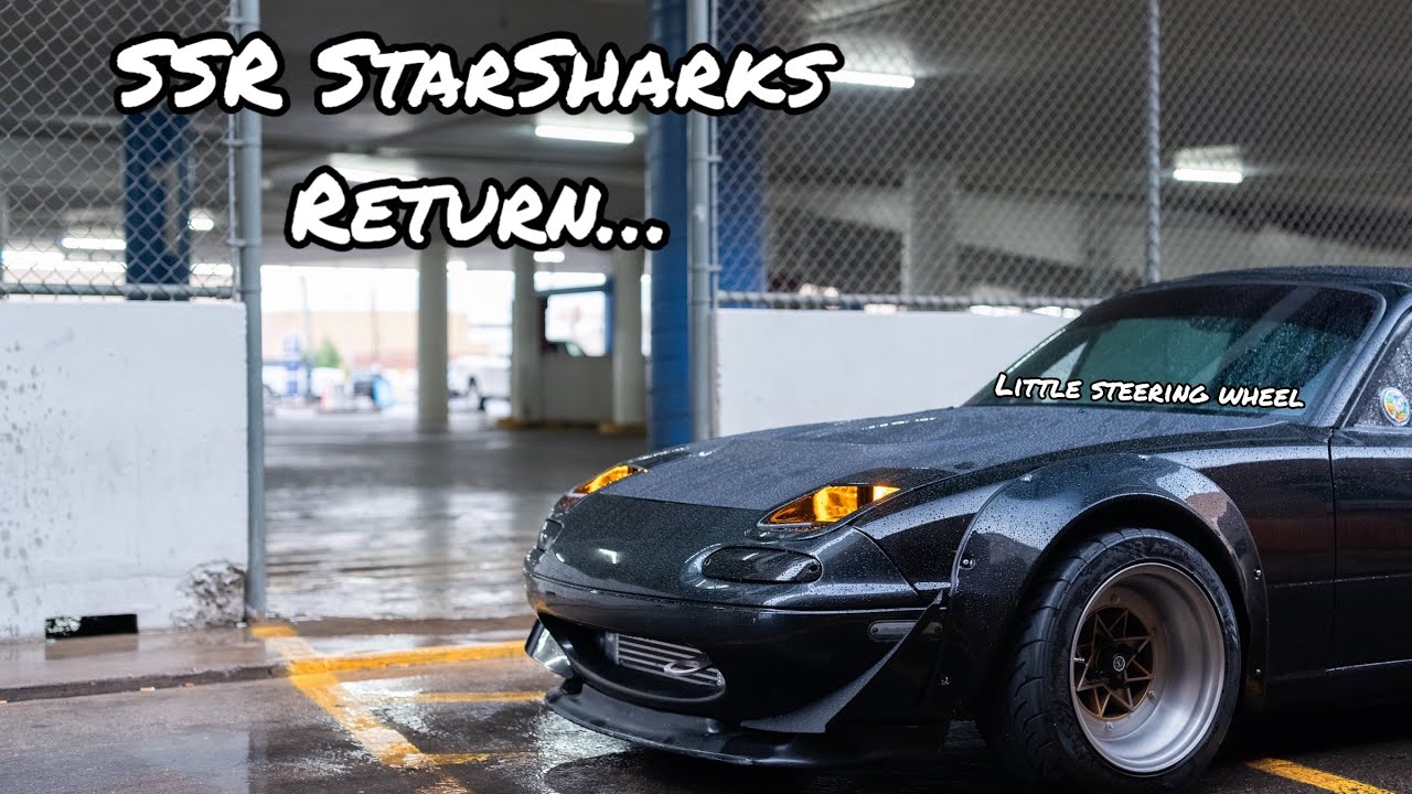 SSR StarSharks Return with Additional Plans - YouTube