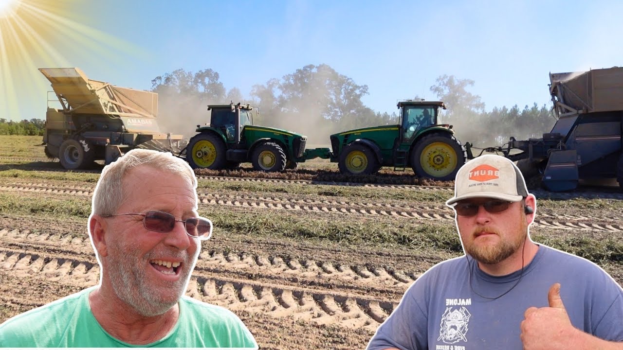 The Last 6 Rows Of Peanuts! - YouTube