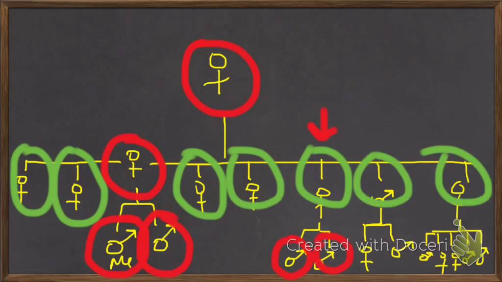 Mitochondrial DNA Pedigree Chart - YouTube