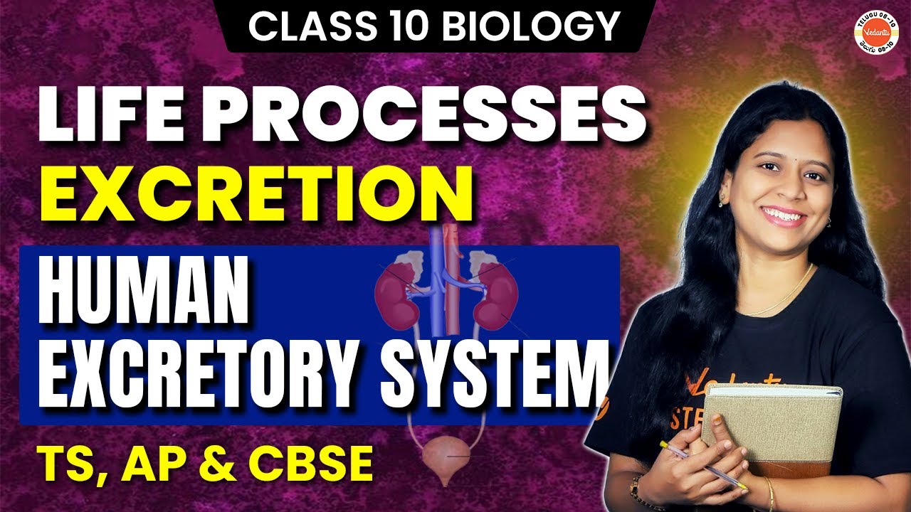 Life Processes | EXCRETION | Human Excretory system | TS, AP & CBSE ...