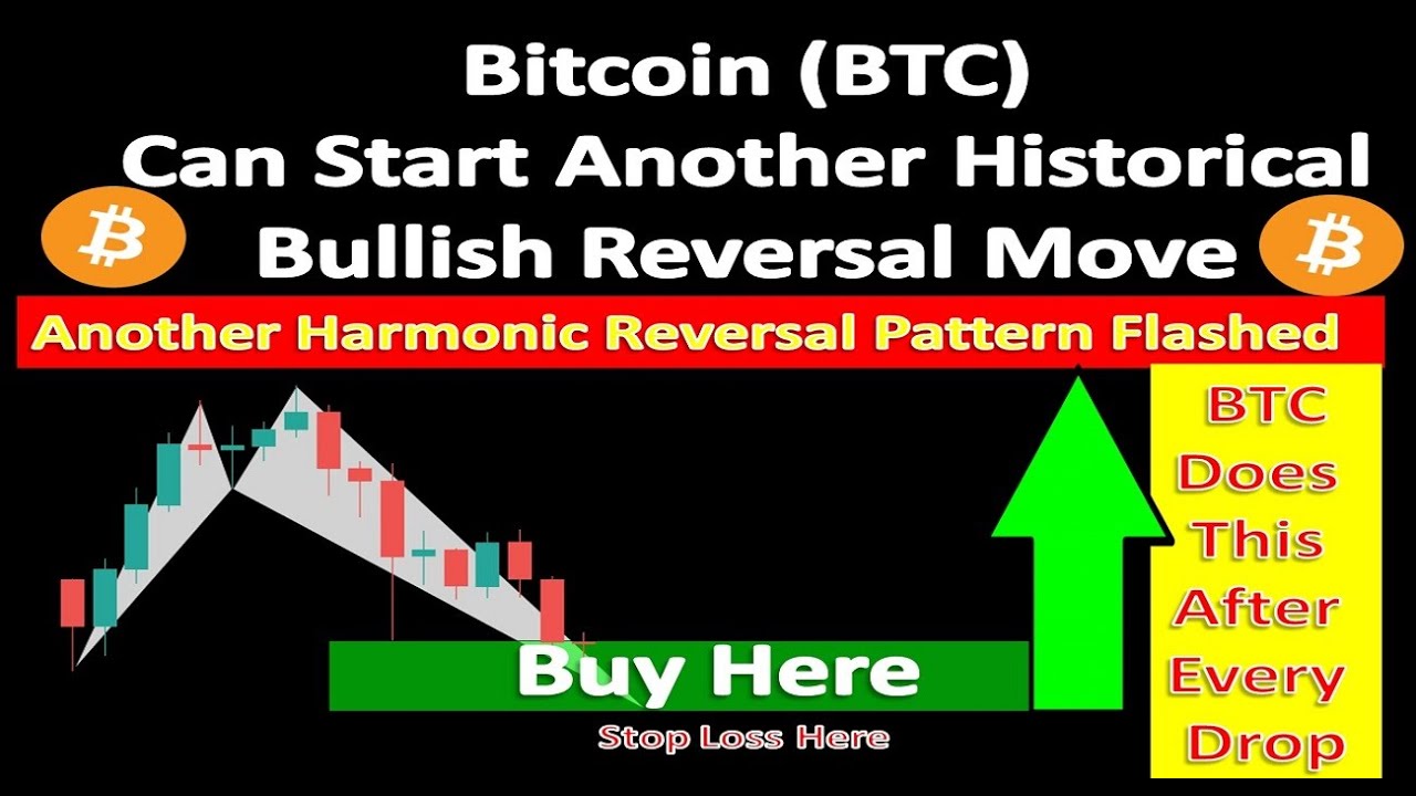 Bitcoin (BTC) Can Start Another Historical Bullish Reversal Move - YouTube