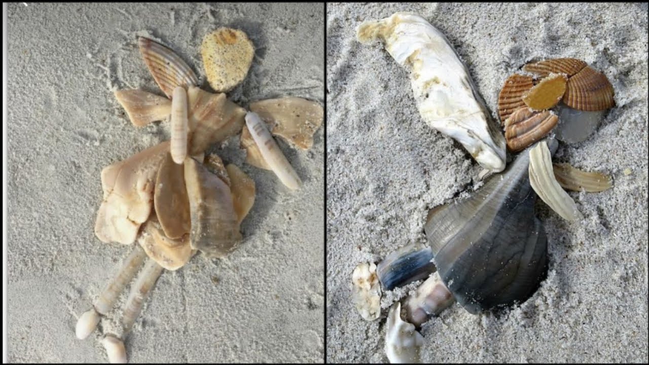 DIY best pebbles art for sea fly||beautiful and unique pebble ...