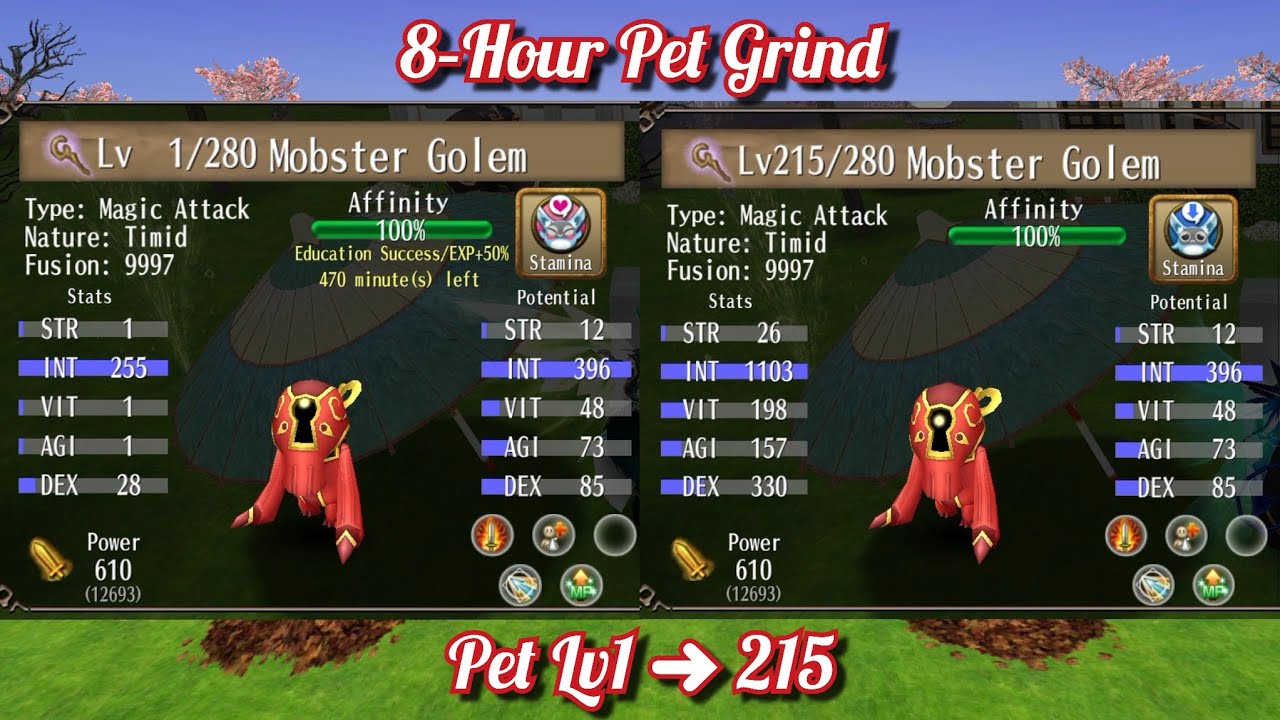 Pet Leveling in 8 Hours – No Pom Creamy Treat, No Guild EXP Buff ...