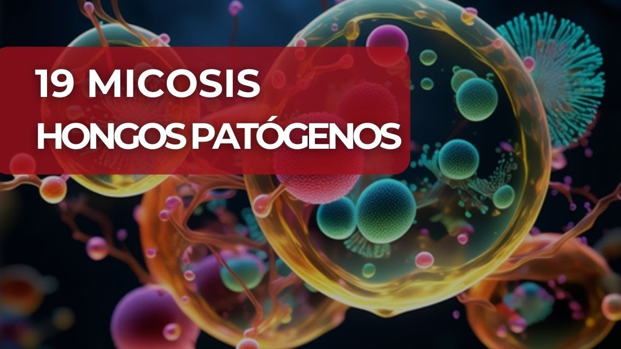 19 Micosis: Hongos Patógenos que Debes Conocer - MICROBIOLOGIA - YouTube