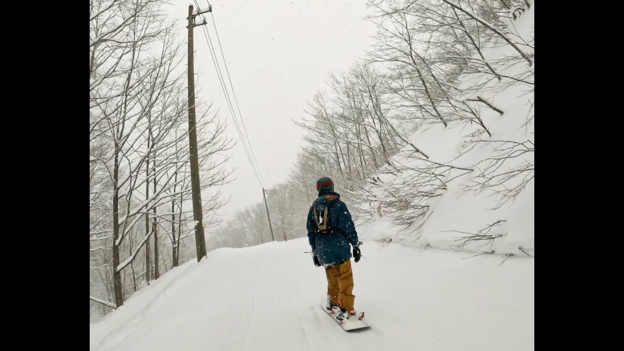 Hakuba powder day, Tree Runs at Tsugaike - YouTube