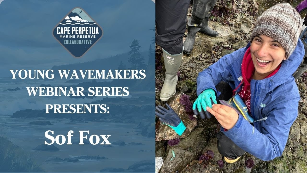 Science Communication: Community Impact with Sof Fox - YouTube