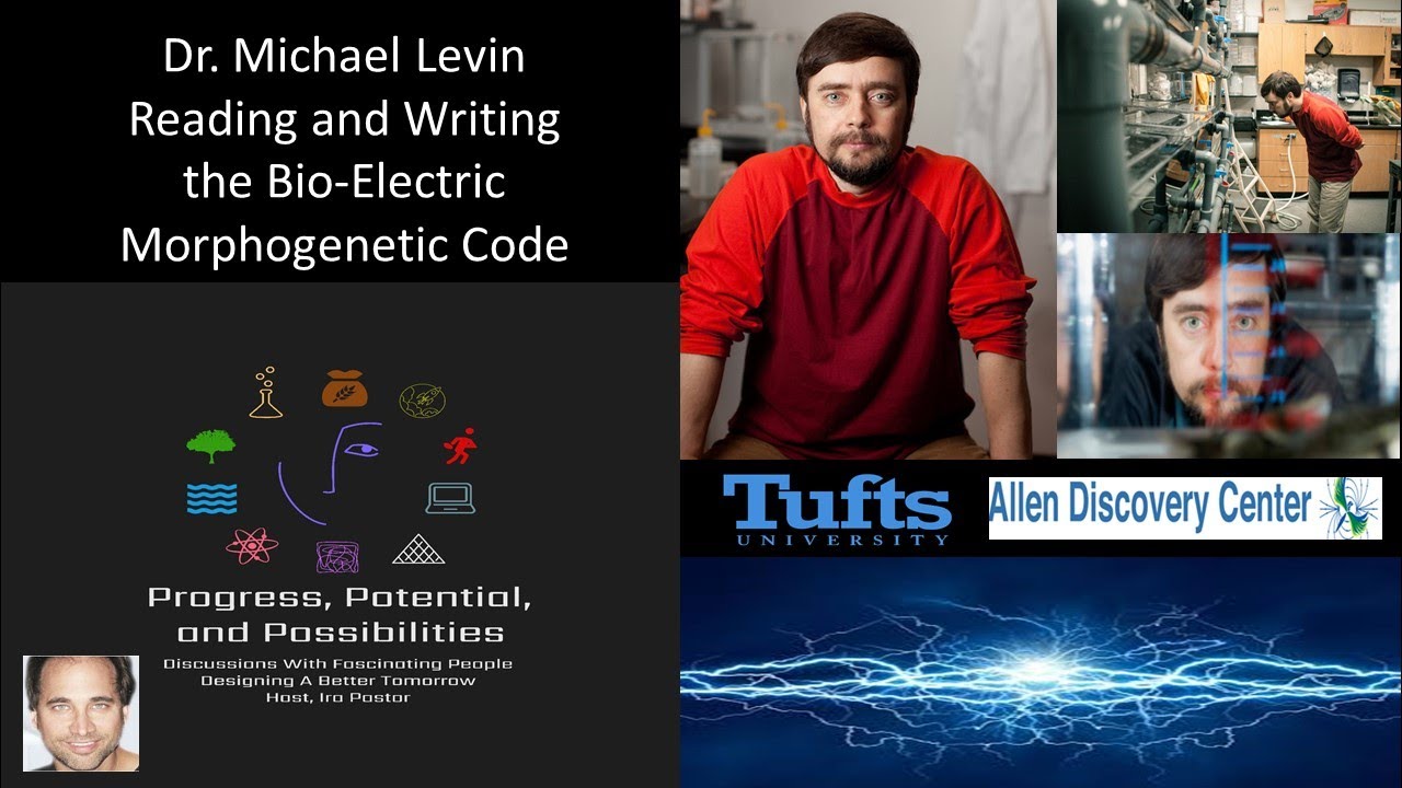 Dr. Michael Levin Ph.D. - Tufts University - Reading & Writing the Bio ...