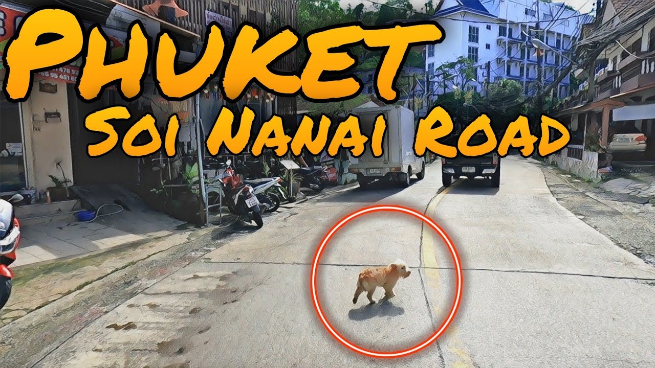Phuket Today: Soi Nanai Road Patong Phuket Thailand Virtual Tour - YouTube