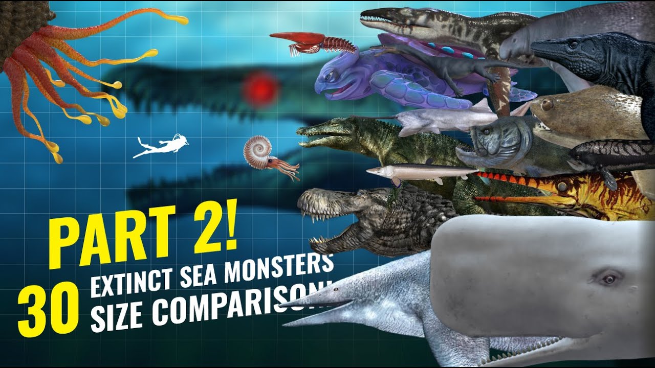 30 EXTINCT SEA MONSTERS SIZE COMPARISON - Part 2! - YouTube