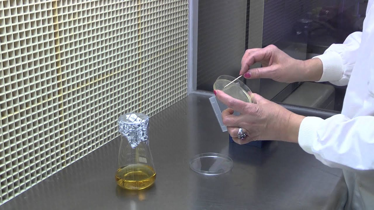 Making Fish Oils in Plants - YouTube
