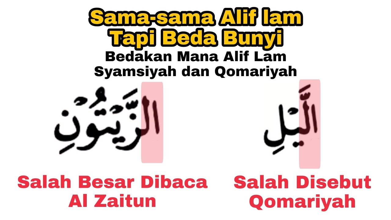 Stop Baca Al Zaitun, Bedakan Alif Lam Qamariyah dan Alif Lam Syamsiyah ...