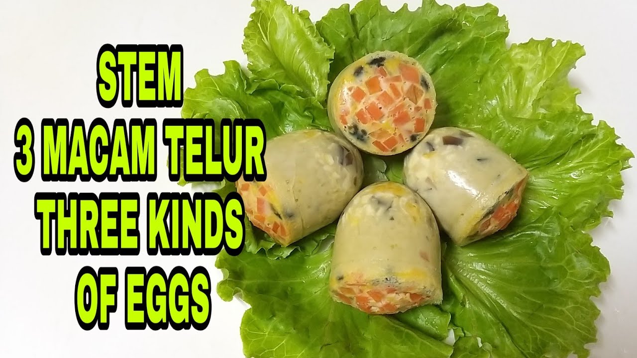 STEM TIGA MACAM TELUR YANG SIMPLE DAN MENARIK - YouTube