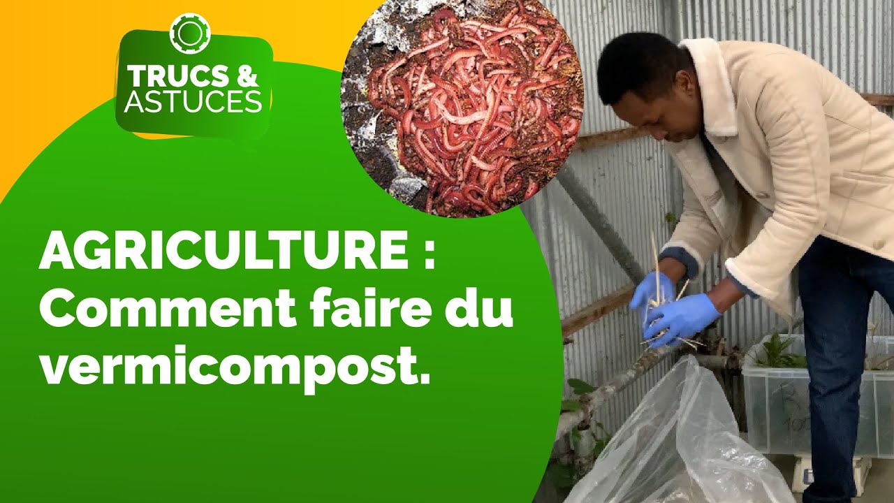 Vermicompostage: Comment produire du vermicompost - YouTube