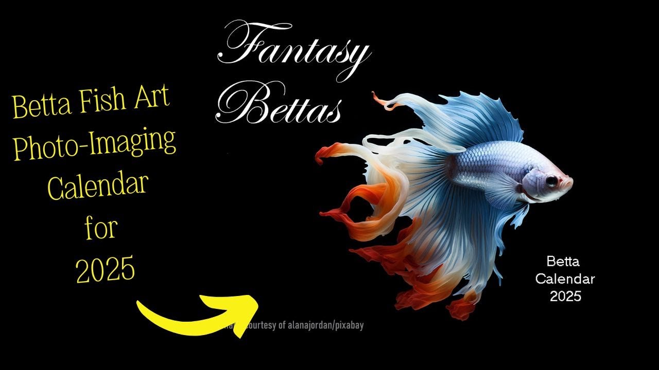 Betta Fish Calendar 2025 Best Beta Fish Calendar Siamese Fighting Fish ...
