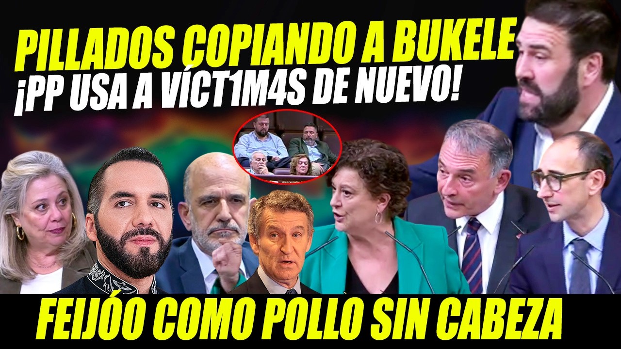 FEIJÓO COMO POLLO SIN CABEZA: PILLADOS COPIANDO A BUKELE "NAZl ...