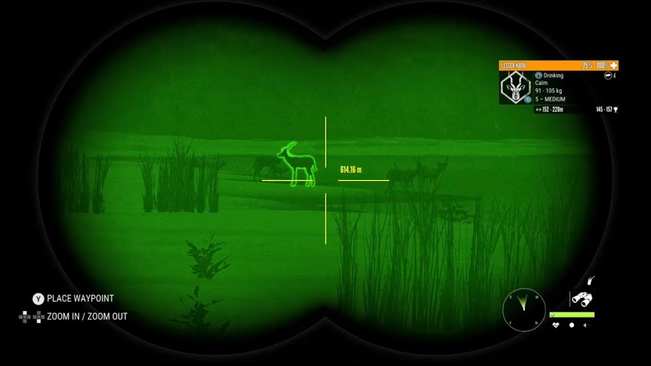 theHunter COTW 💎Diamonds💎 and Rares highlights #2 - YouTube