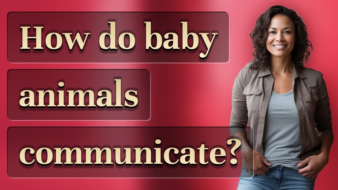 How do baby animals communicate? - YouTube
