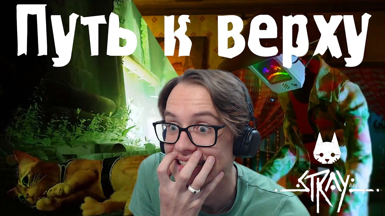 Стремимся к верху. Зурки нападают! | Stray #2 #randrel #stray - YouTube