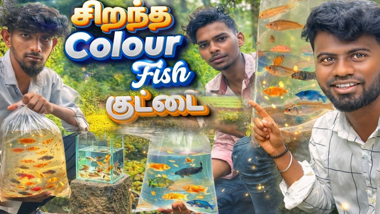 🐠 🐟 Colour fish நோக்கி ஒரு பயணம் 🫣 | Fish catching| balasvoyage - YouTube