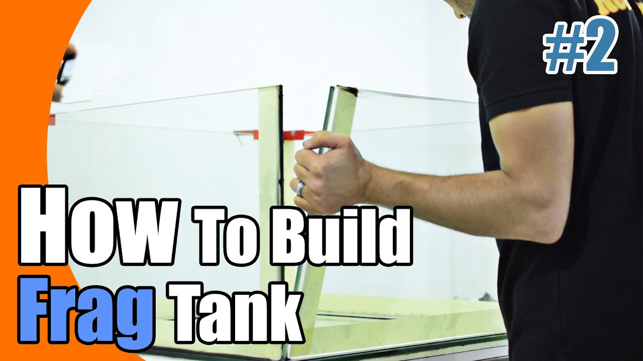 How To DIY and Build a Cheap Frag Tank System For Saltwater | Fish Room ...