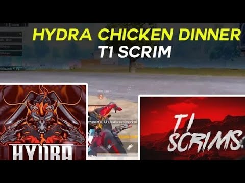 Hydra chicken dinner in T1 //Hydra jadhu//support me - YouTube
