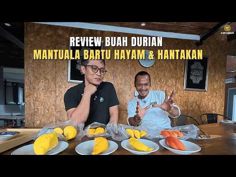 Unboxing Dan Review Langsung Buah Durian Mantuala Batu Hayam, Mantuala Batu Hantakan dan Lay