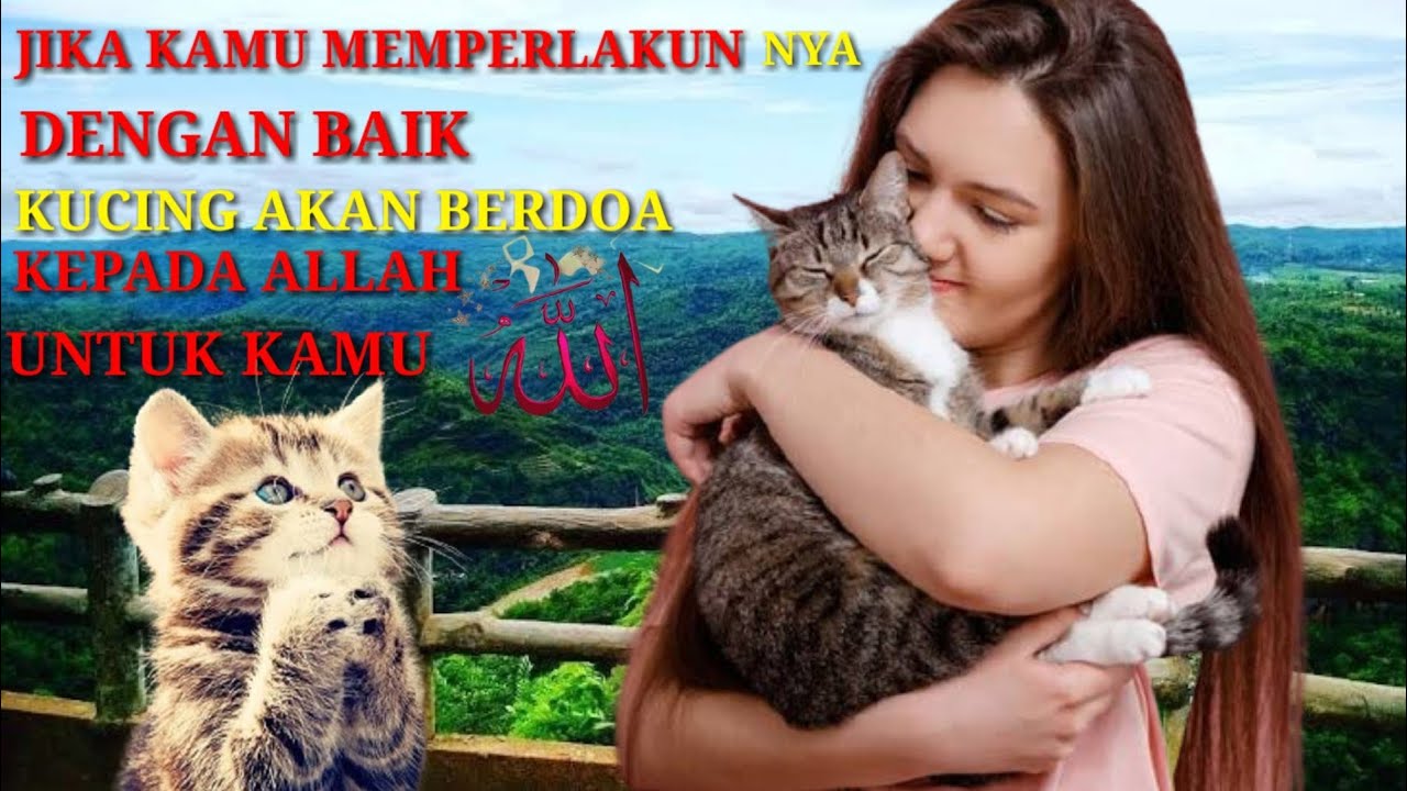 Kucing Berdoa Untuk Tuannya | Doa Kucing - YouTube