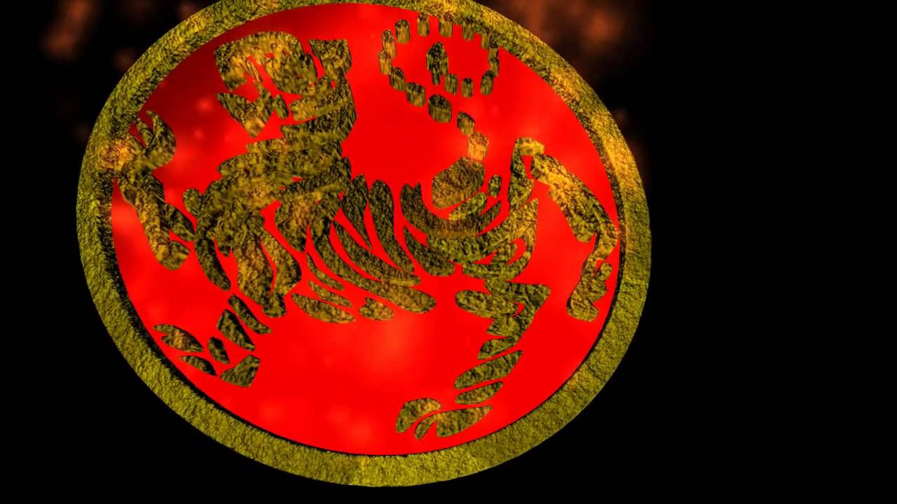 Shotokan_NSKF_720p_h264.avi - YouTube