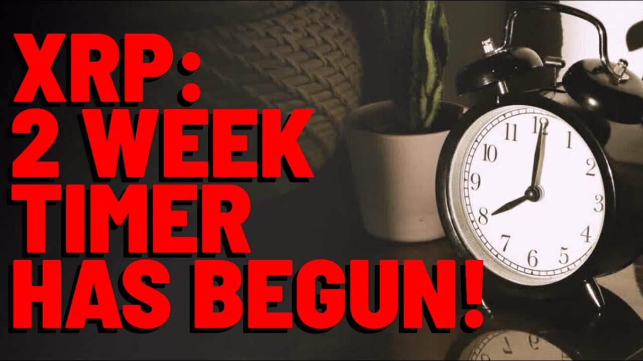 XRP: 2 Week Timer Has BEGUN - YouTube
