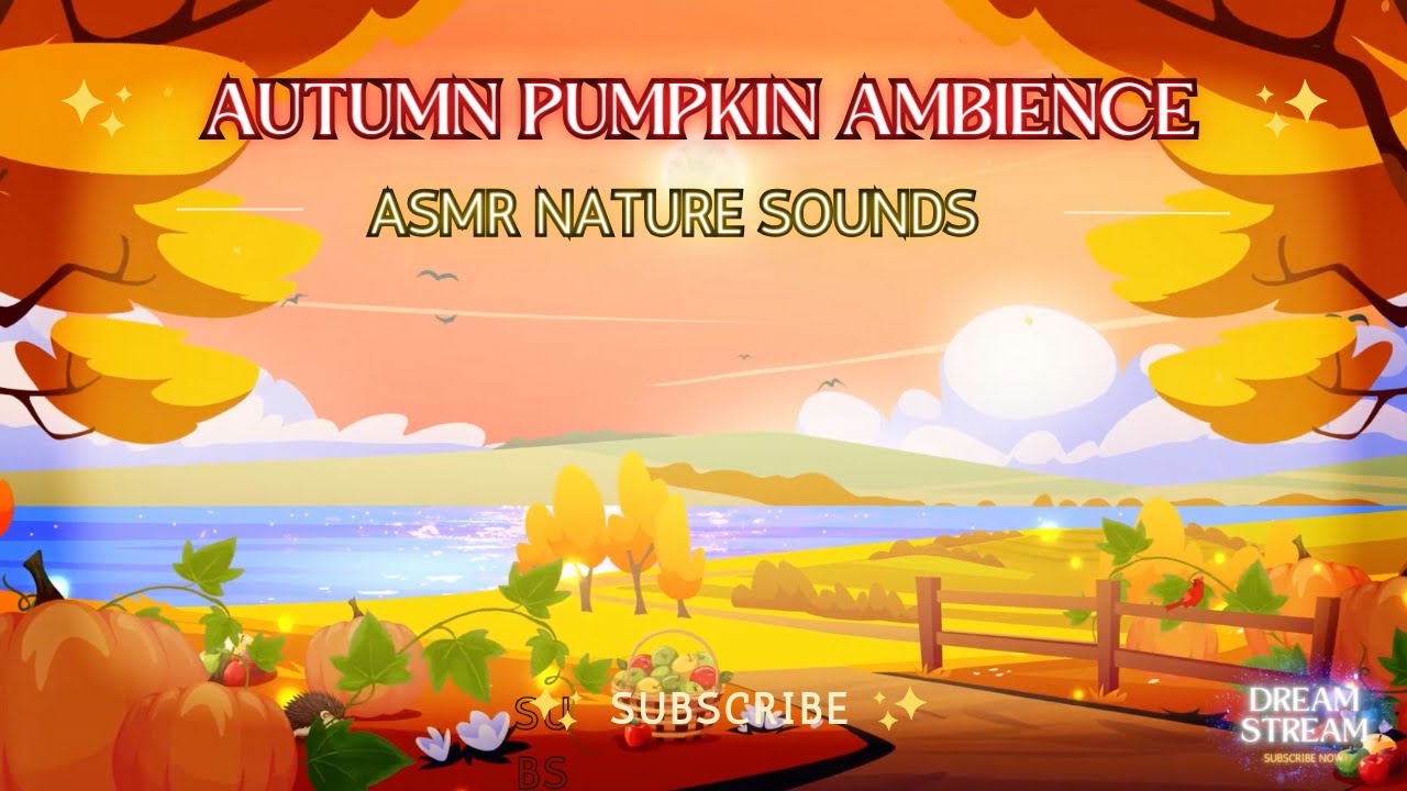 Autumn Pumpkin Patch Ambience | AMSR Sounds | Meditation | Relaxing ...