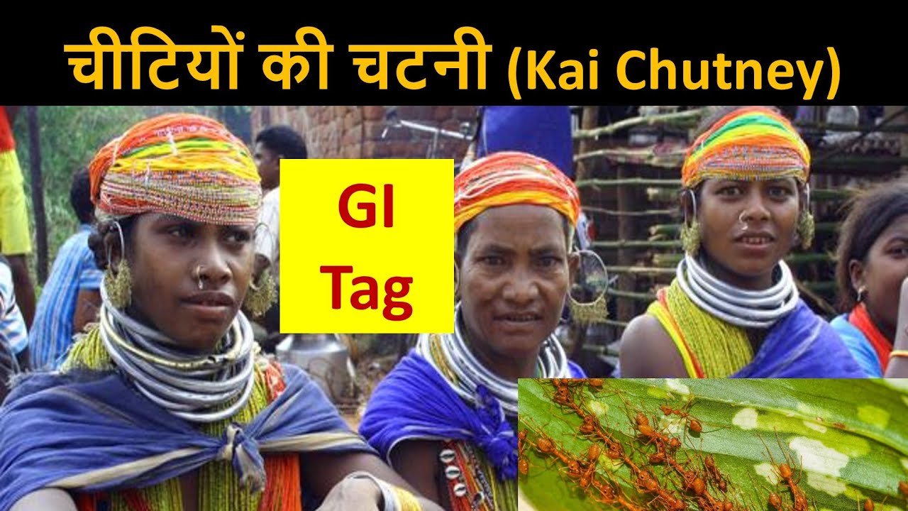 Chinti ki Chutney | Ants Chutney | Kai Chutney | GI Tag - YouTube