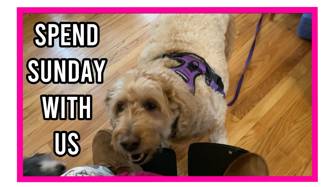 A FREEZING SUNDAY MORNING: BOXING CLASSES & READING BOOKS (1/14/24 ...