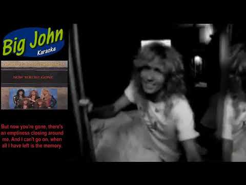 Whitesnake Now You're Gone BJ karaoke - YouTube
