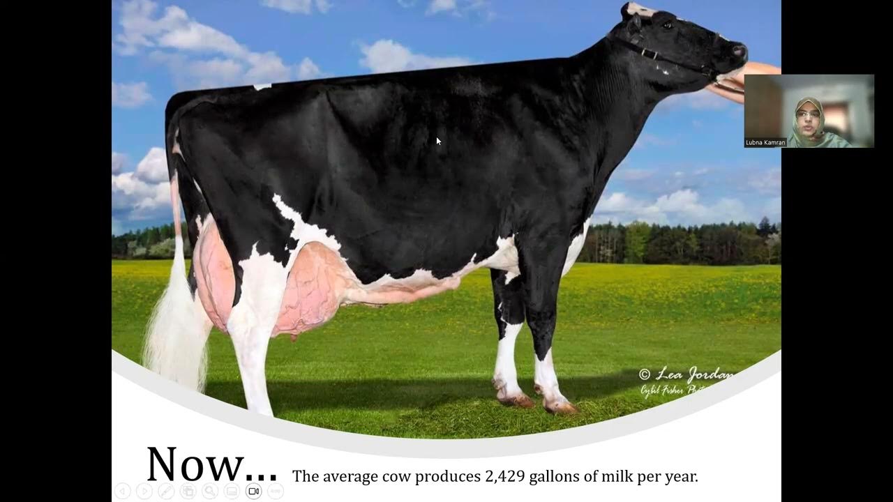 Lesson on Selective Breeding - YouTube