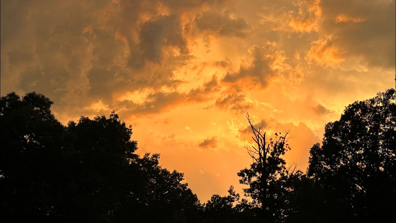 Nature sleep clip, distant thunder, bugs, sunset - YouTube