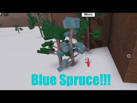Roblox Lumber Tycoon 2- New Blue Spruce Tree!!! - YouTube