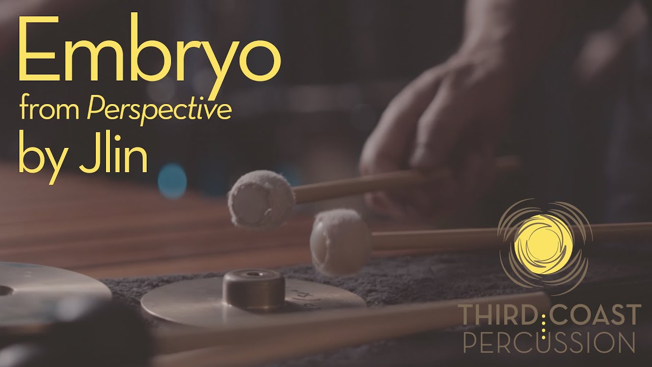 "Embryo" by Jlin - YouTube